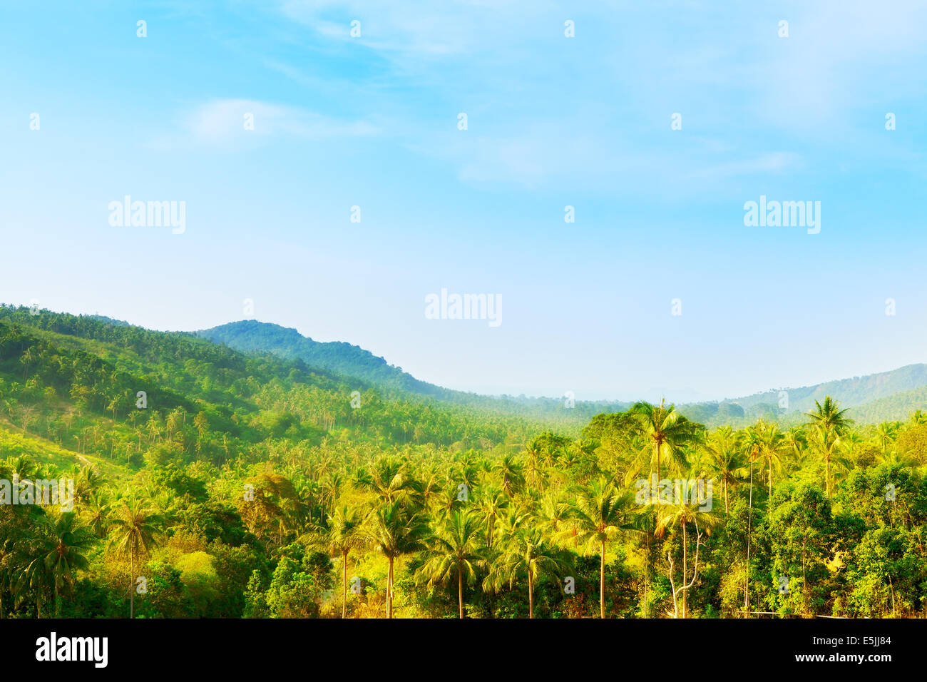 Beautiful tropic day hi-res stock photography and images - Alamy