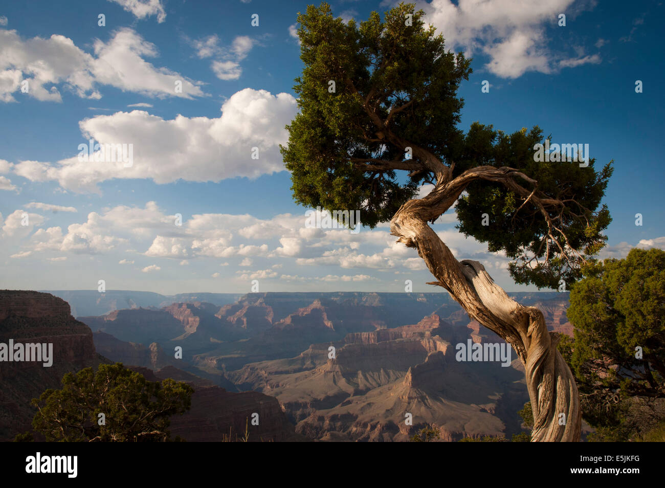Hermits Rest Grand Canyon National Park, Arizona USA Stock Photo - Alamy