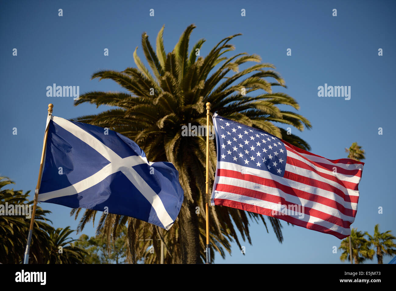 Scottish American Flag
