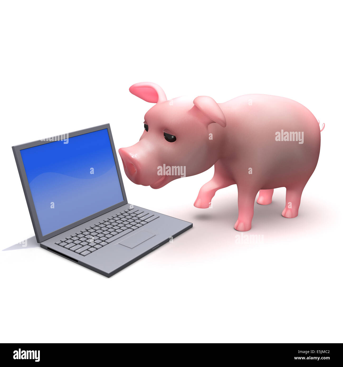 3d render of a piglet using a laptop Stock Photo - Alamy
