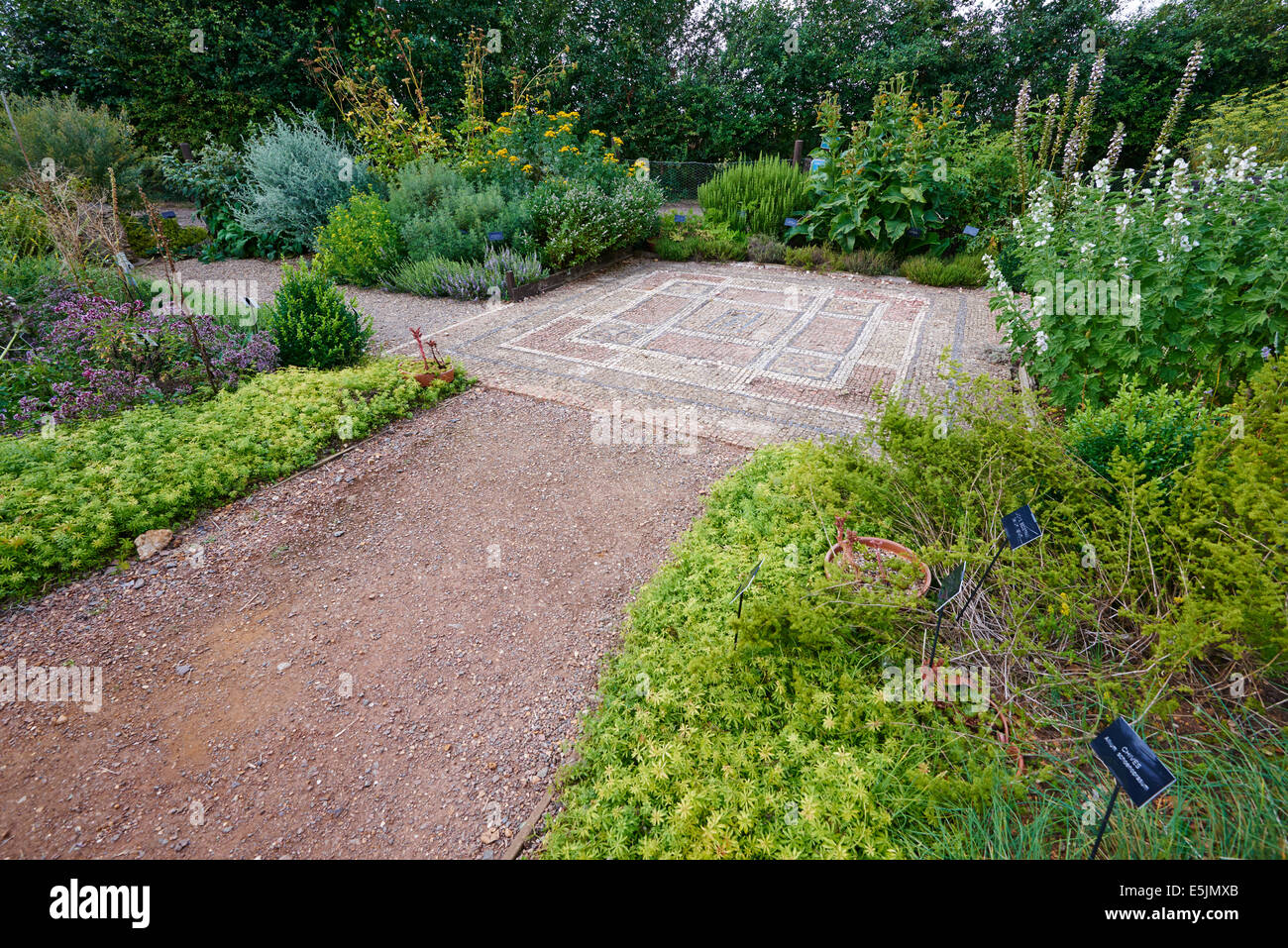 Roman Herb Garden At Flag Fen Bronze Age Centre Fenland Cambridgeshire ...