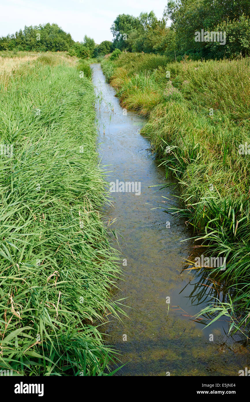 The Mustdyke Drainage Ditch At Flag Fen Bronze Age Centre Fenland ...