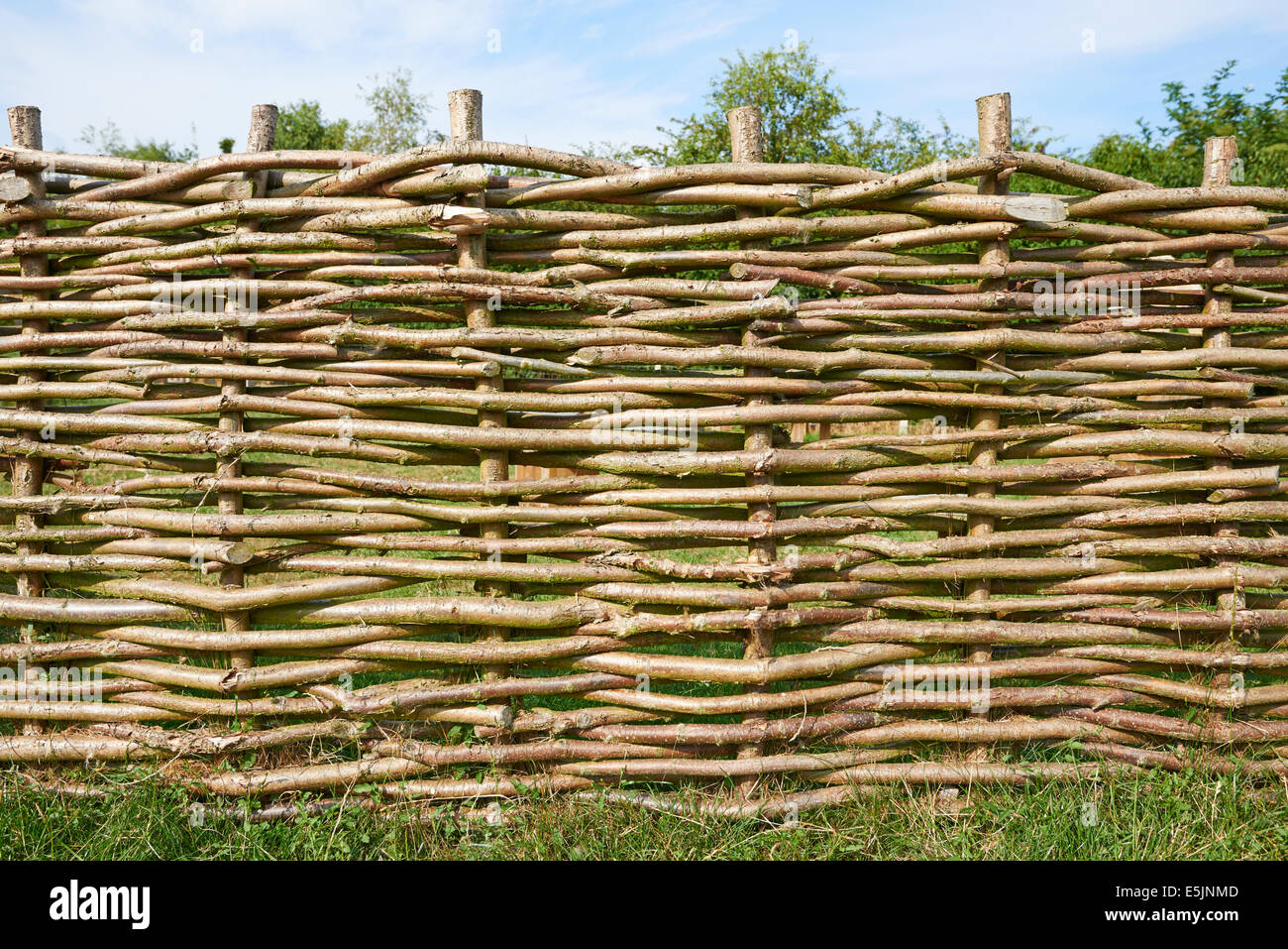 Wattle Fencing At Flag Fen Bronze Age Centre Fenland Cambridgeshire UK ...
