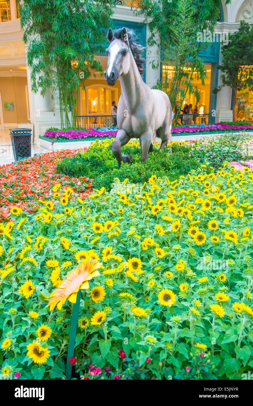 Summer season in Bellagio Hotel Conservatory & Botanical Gardens in Las Vegas Stock Photo - Alamy
