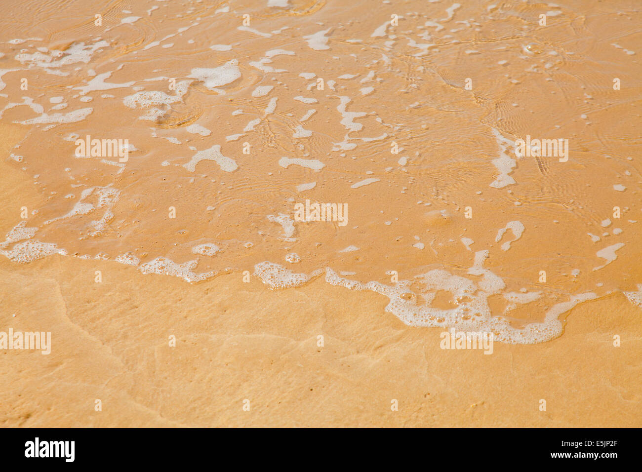 Lazy sea wave over golden sandy beach Stock Photo - Alamy