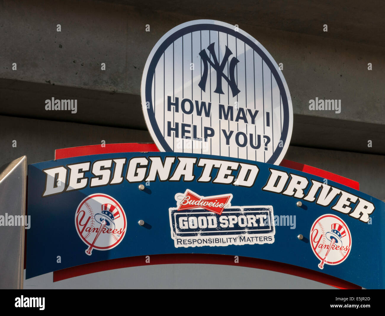 Designated Driver Logo