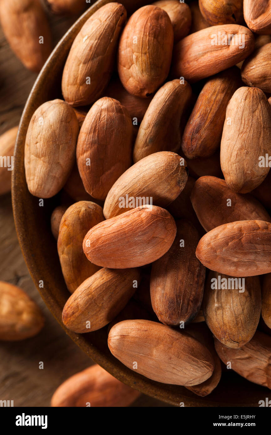 Raw Organic Cocoa Beans in a Bowl Stock Photo - Alamy