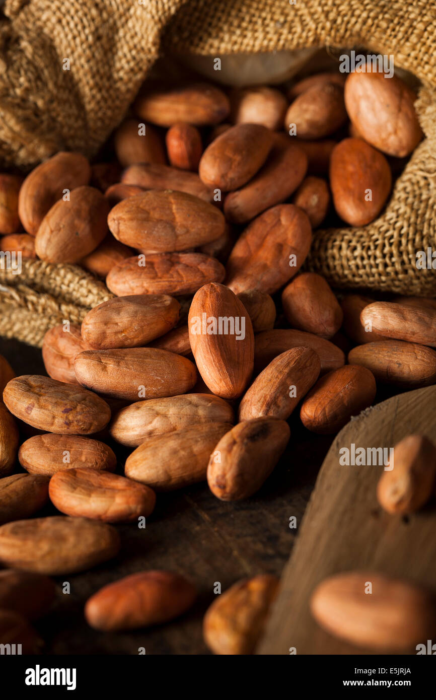 Raw Organic Cocoa Beans in a Bowl Stock Photo - Alamy