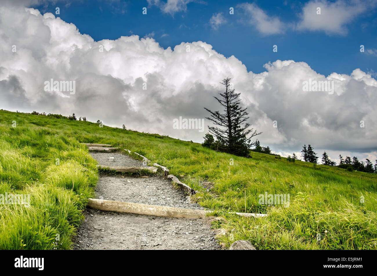 A gravel and dirt trail winds up Round Bald near Roan Mountain Stock ...