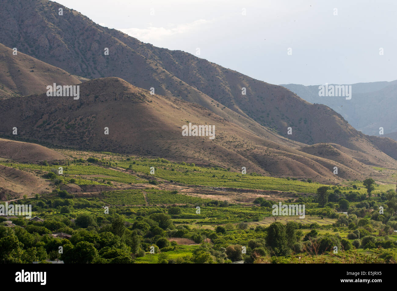 Areni armenia hi-res stock photography and images - Alamy