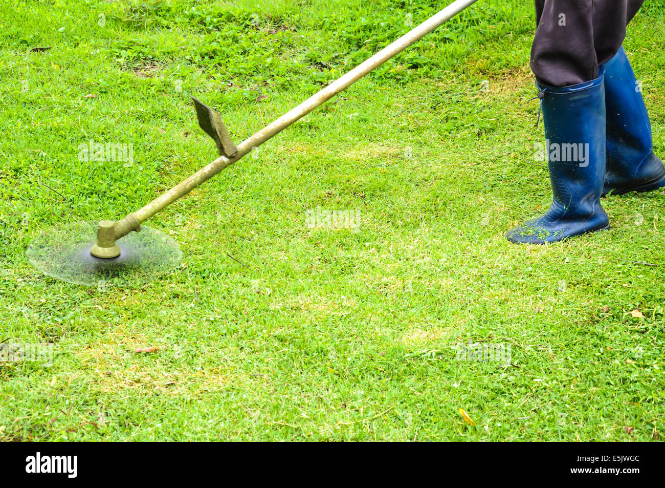 Worker mowing grass with mowing machine Stock Photo - Alamy