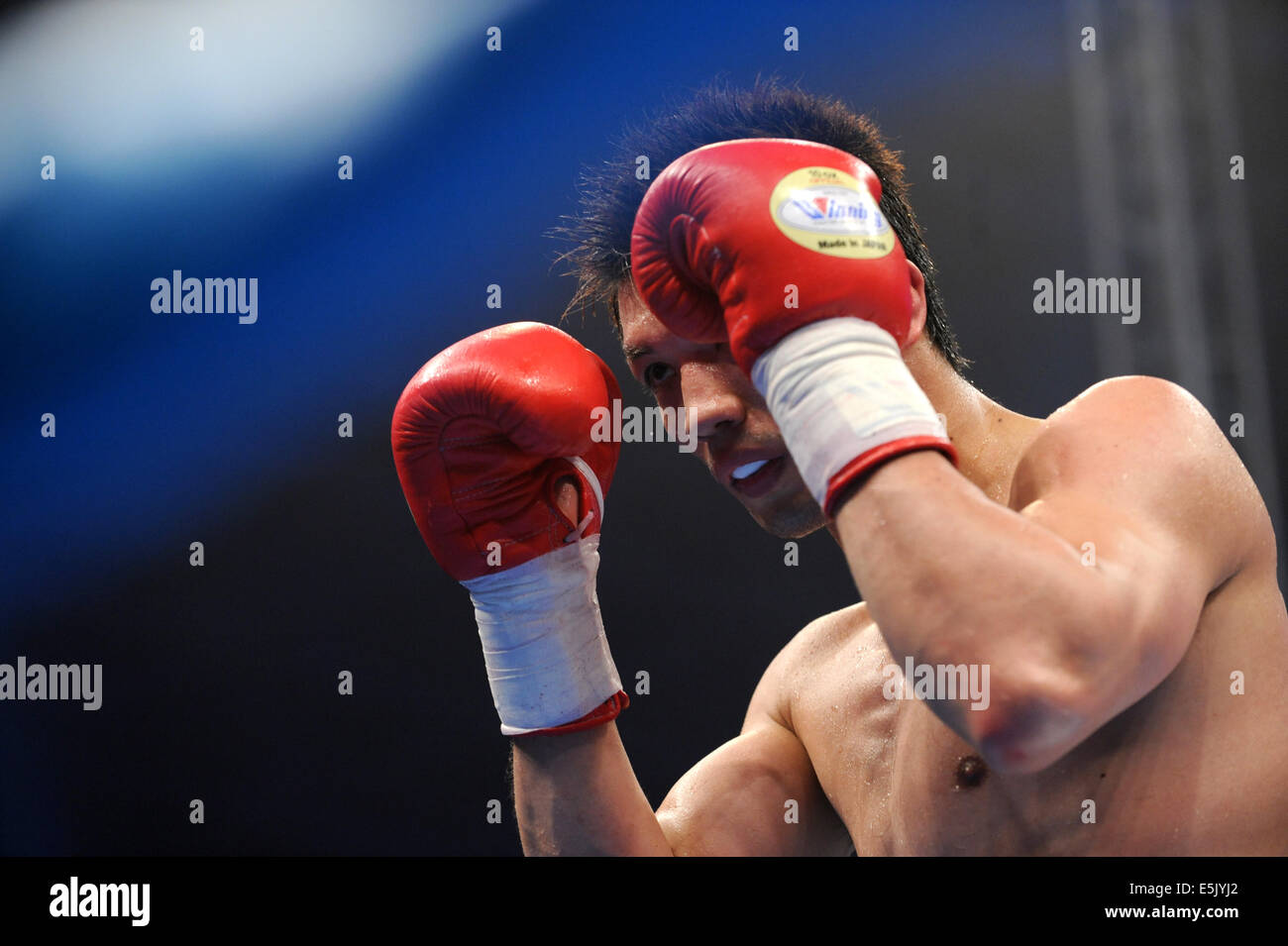 Kyoto, Japan. 22nd May, 2014. Ryota Murata (JPN) Boxing : Ryota Murata ...