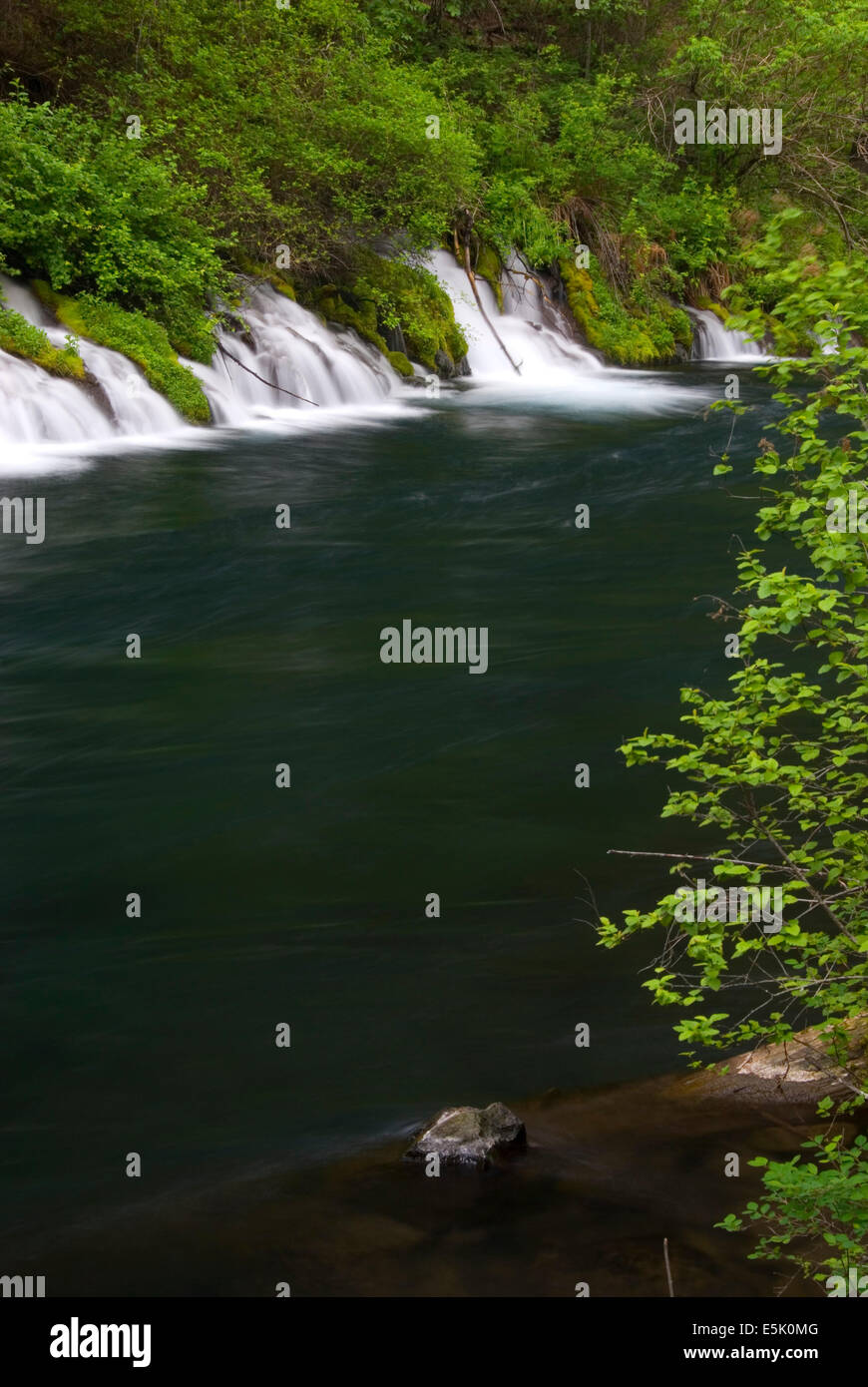 Springs on the Metolius Wild & Scenic River from West Metolius River ...