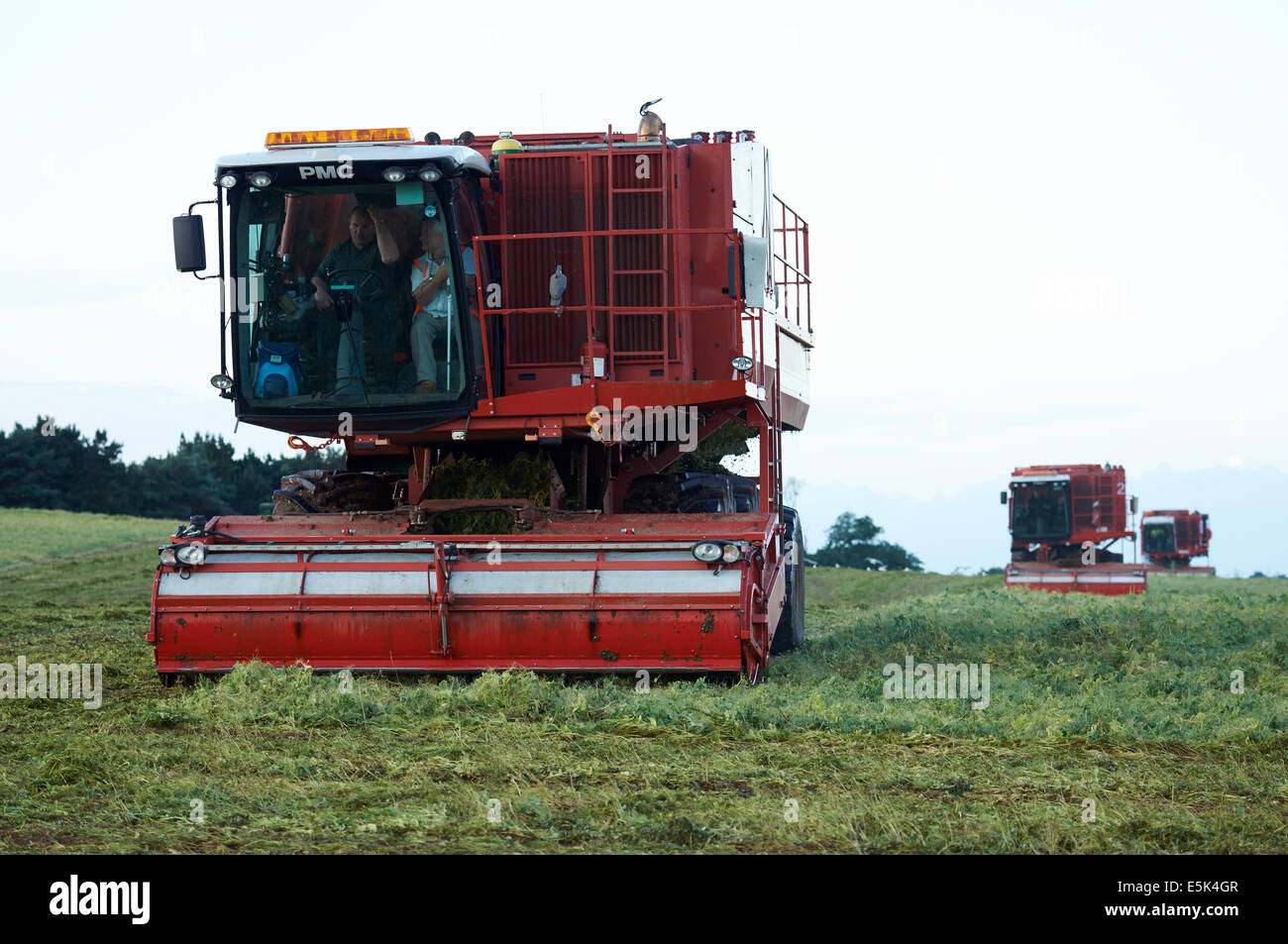 Self propelled pea harvesters hi-res stock photography and images - Alamy
