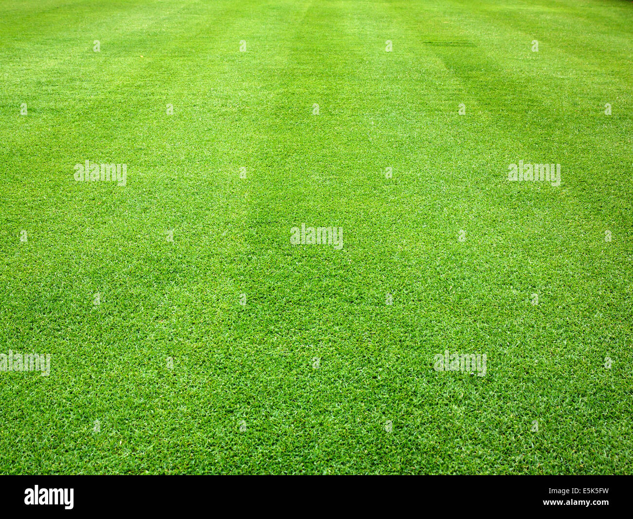 Green grass background pattern the outdoor golf course Stock Photo - Alamy