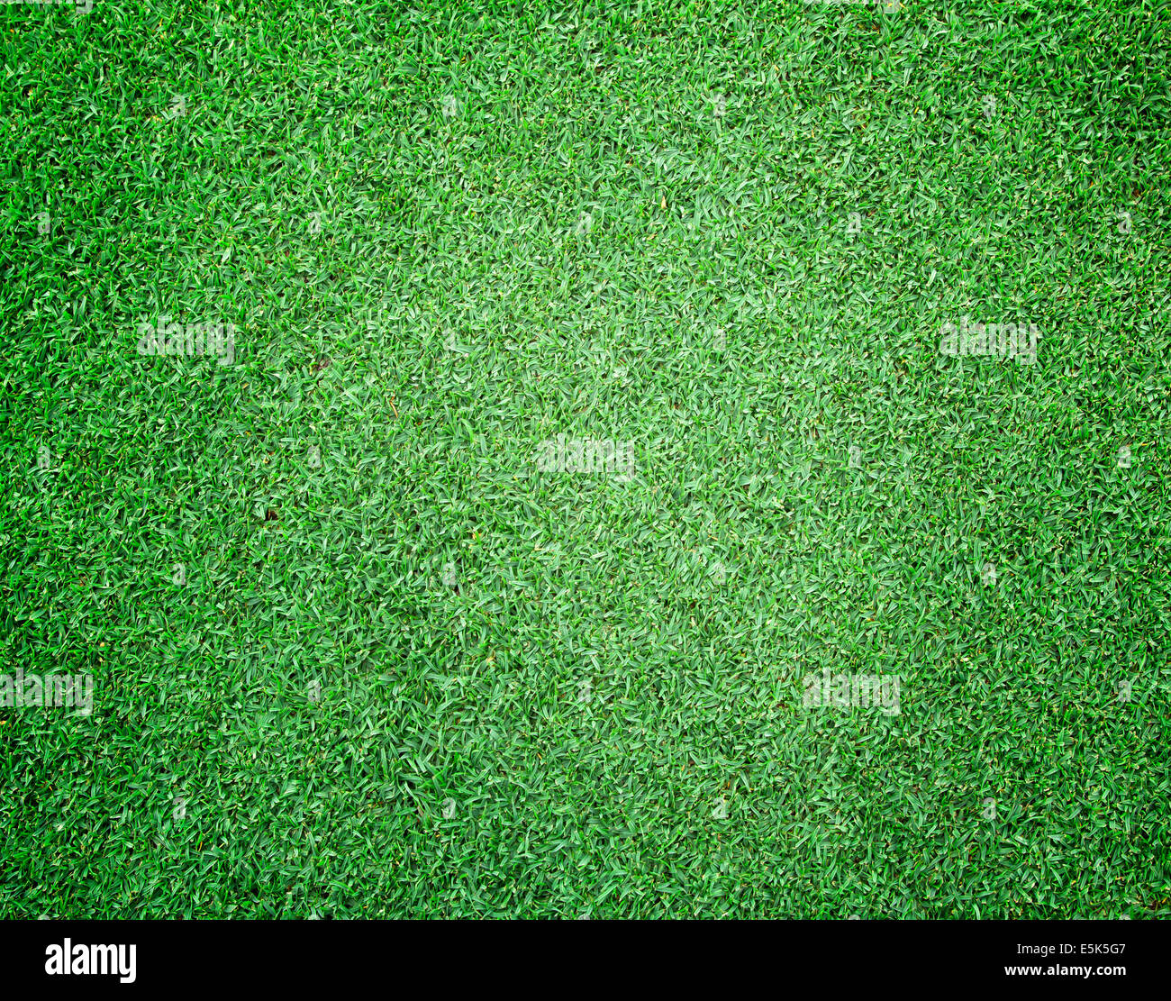 Green grass background pattern the outdoor golf course Stock Photo - Alamy