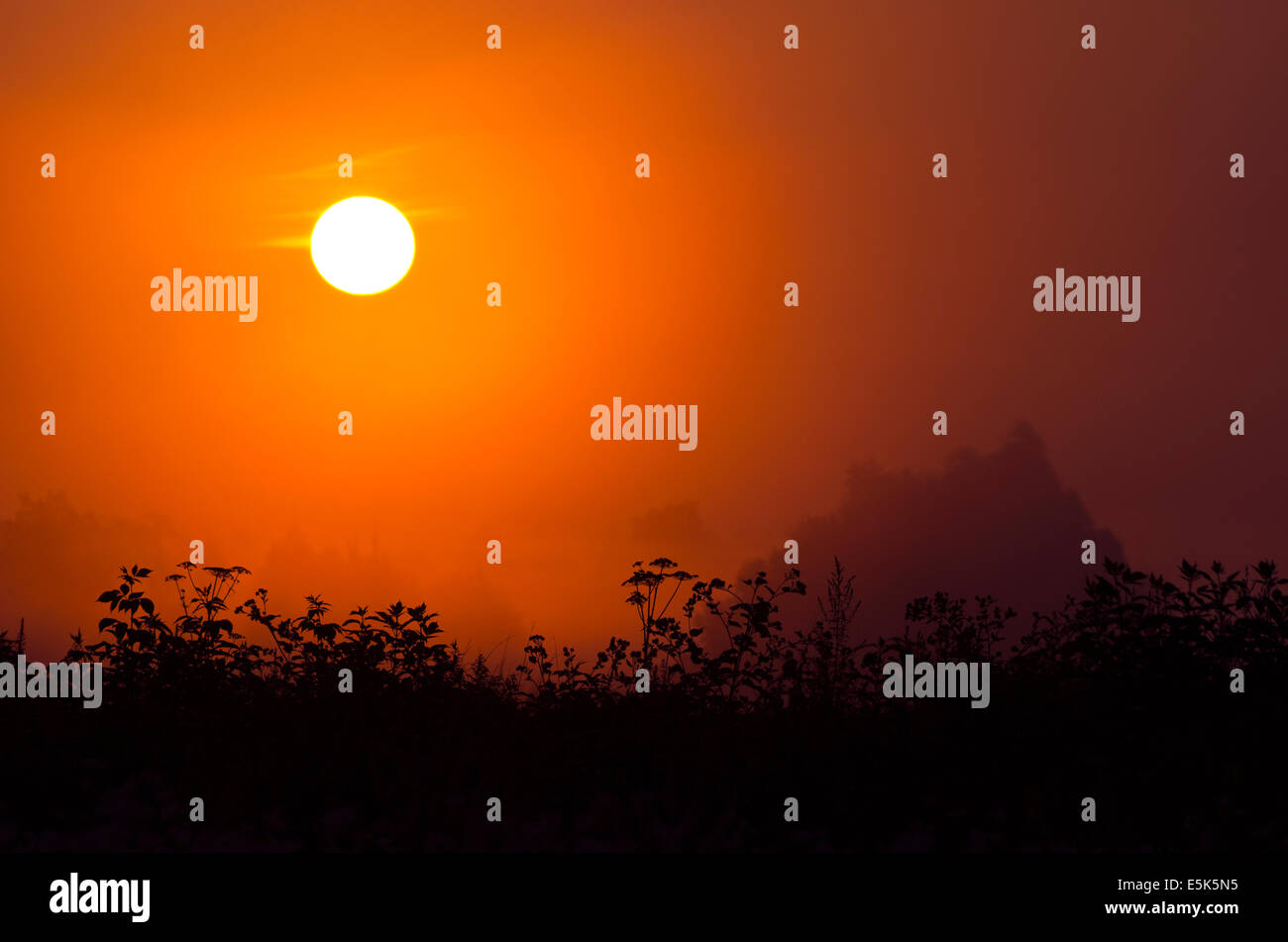 Quiet morning time hi-res stock photography and images - Alamy