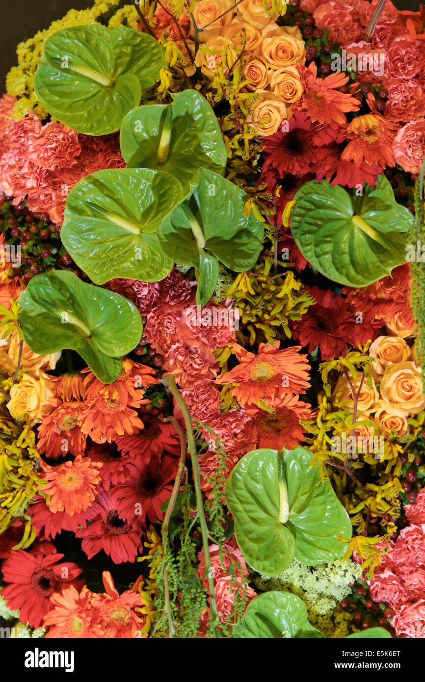 Colorful flower arrangement Stock Photo - Alamy