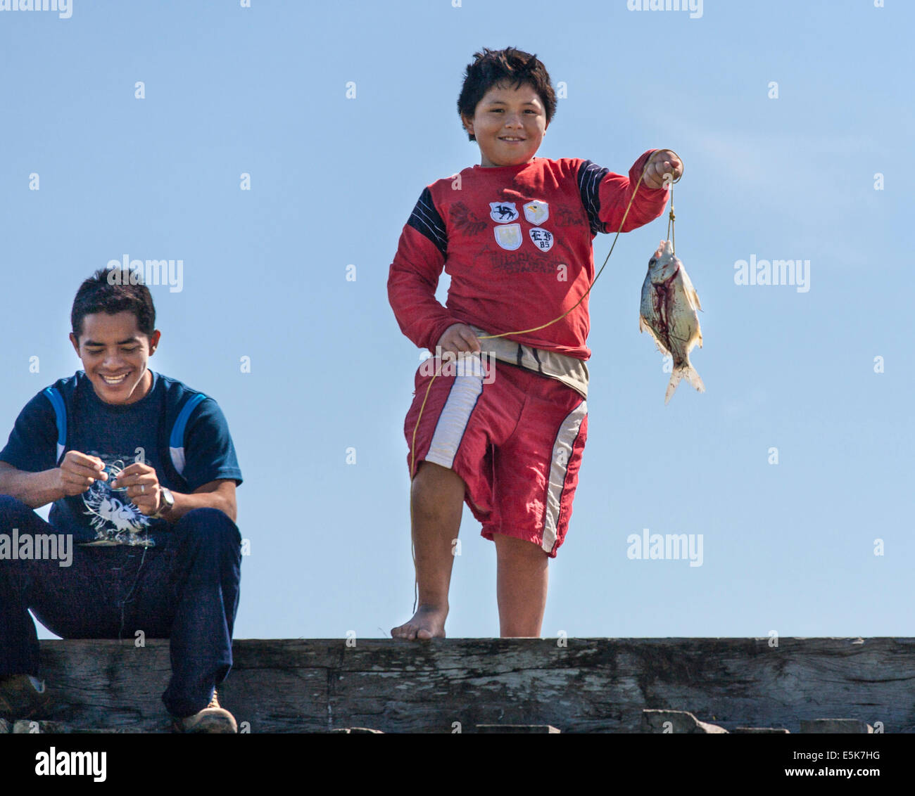 Displaying a fish hi-res stock photography and images - Alamy