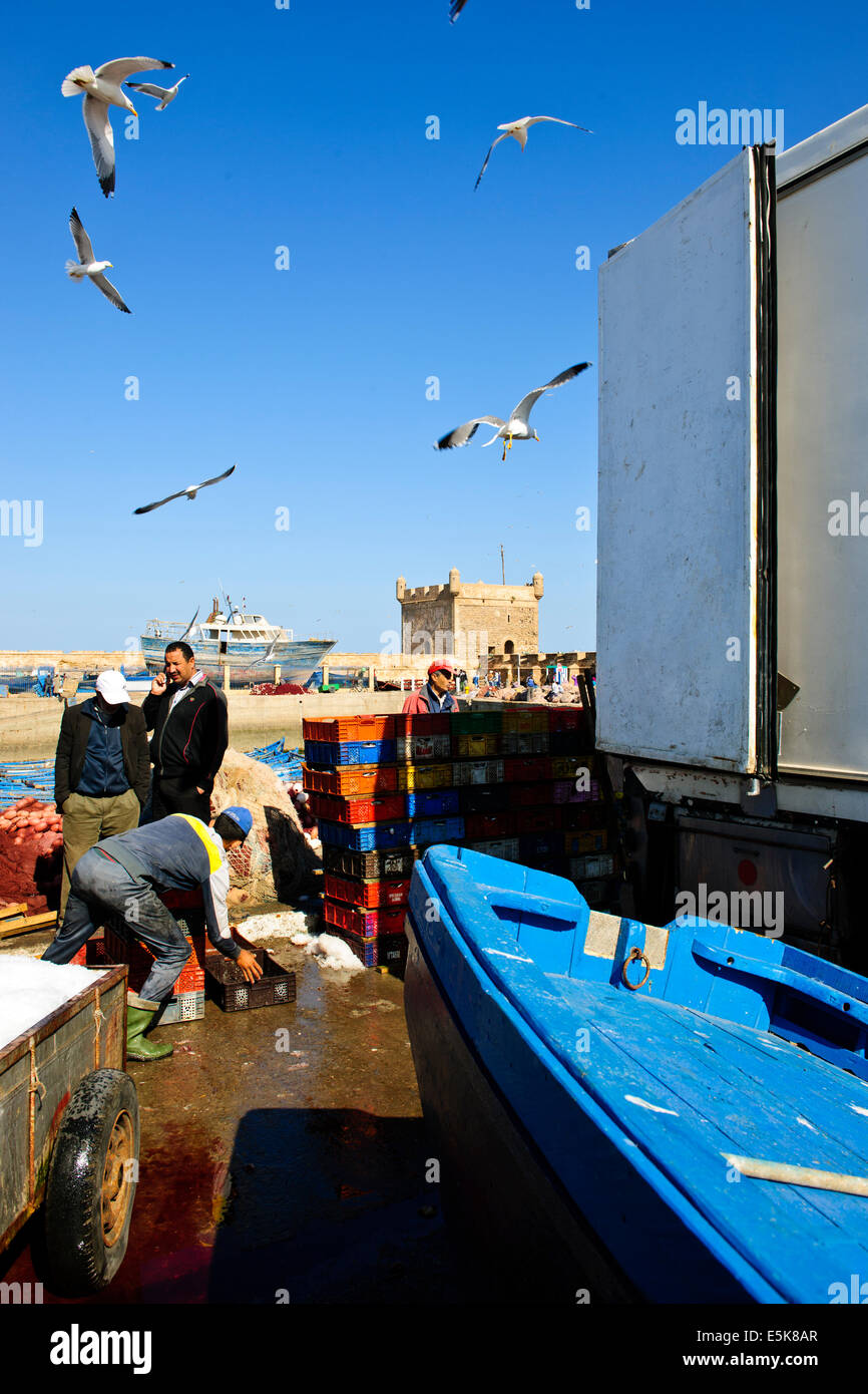 Very Busy Fishing Port,Atlantic Coast,some 250 Species,Fish Caught ...
