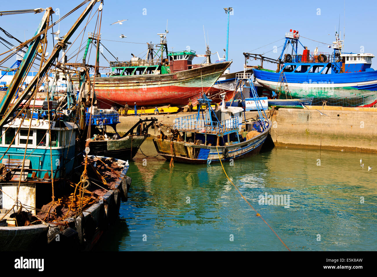 Very Busy Fishing Port,Atlantic Coast,some 250 Species,Fish Caught ...