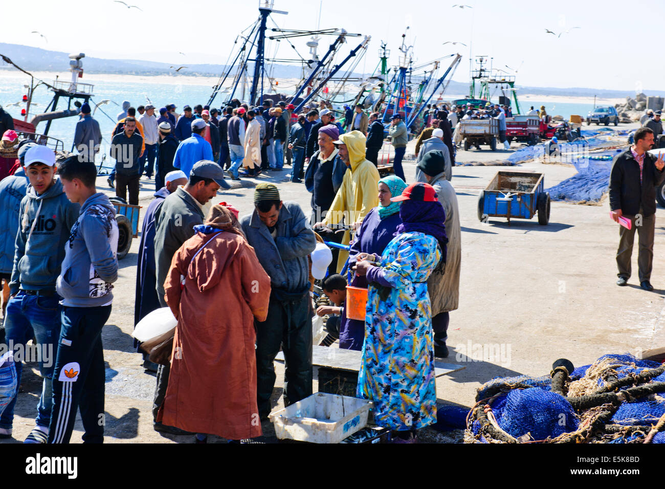 Very Busy Fishing Port,Atlantic Coast,some 250 Species,Fish Caught ...