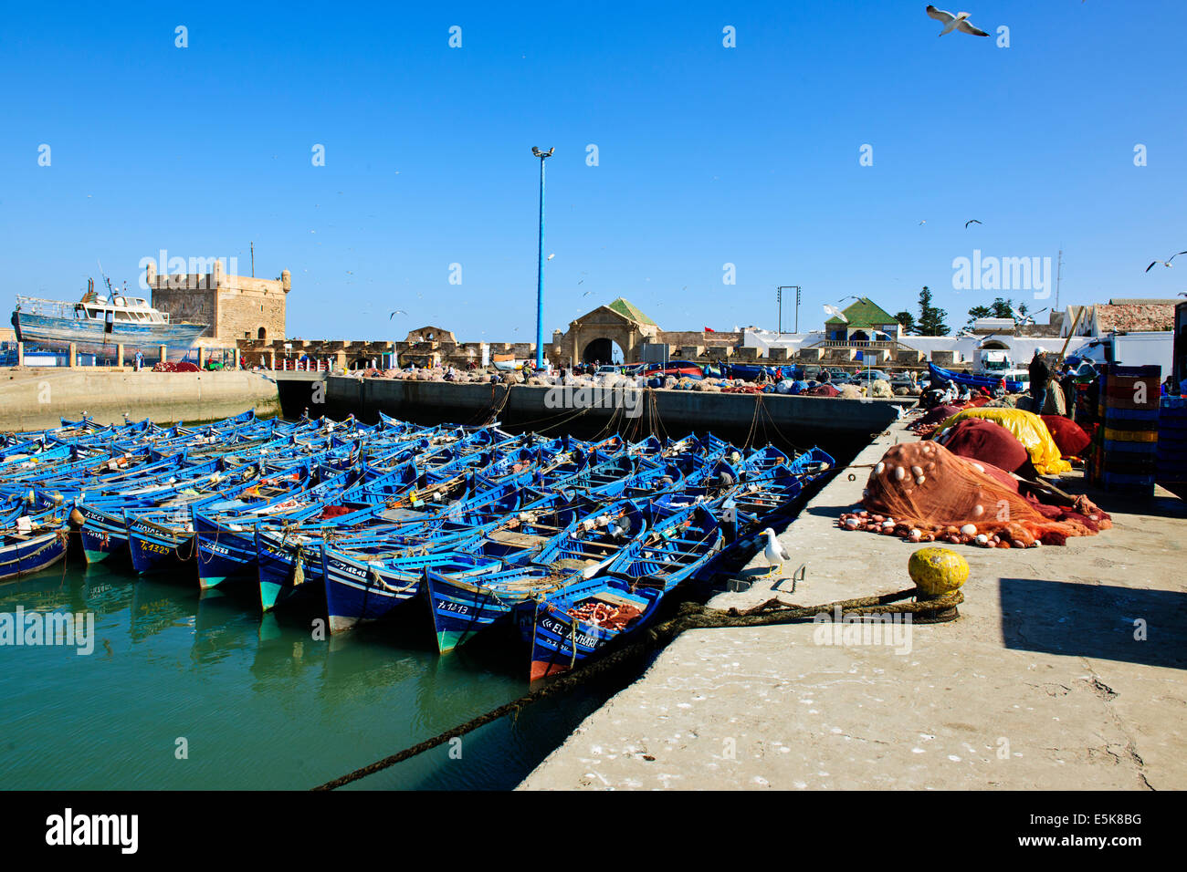 Very Busy Fishing Port,Atlantic Coast,some 250 Species,Fish Caught ...