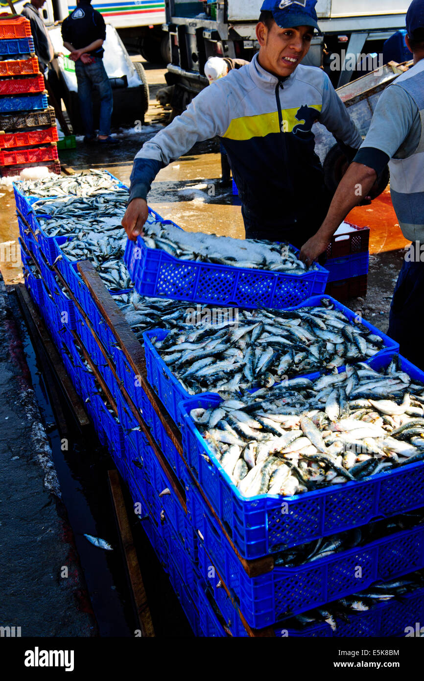 Very Busy Fishing Port,Atlantic Coast,some 250 Species,Fish Caught ...