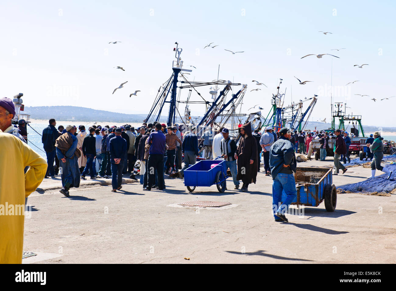 Very Busy Fishing Port,Atlantic Coast,some 250 Species,Fish Caught ...