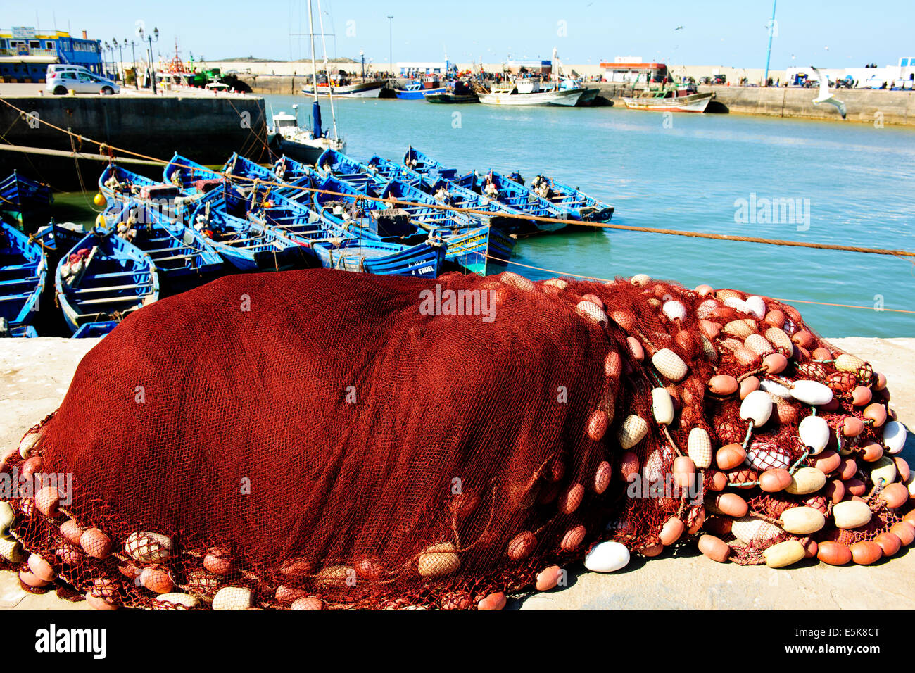 Very Busy Fishing Port,Atlantic Coast,some 250 Species,Fish Caught ...