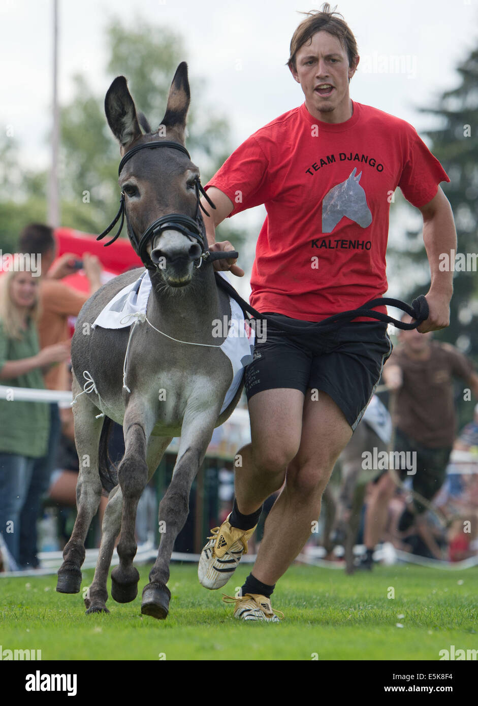 Run with donkeys hi-res stock photography and images - Alamy