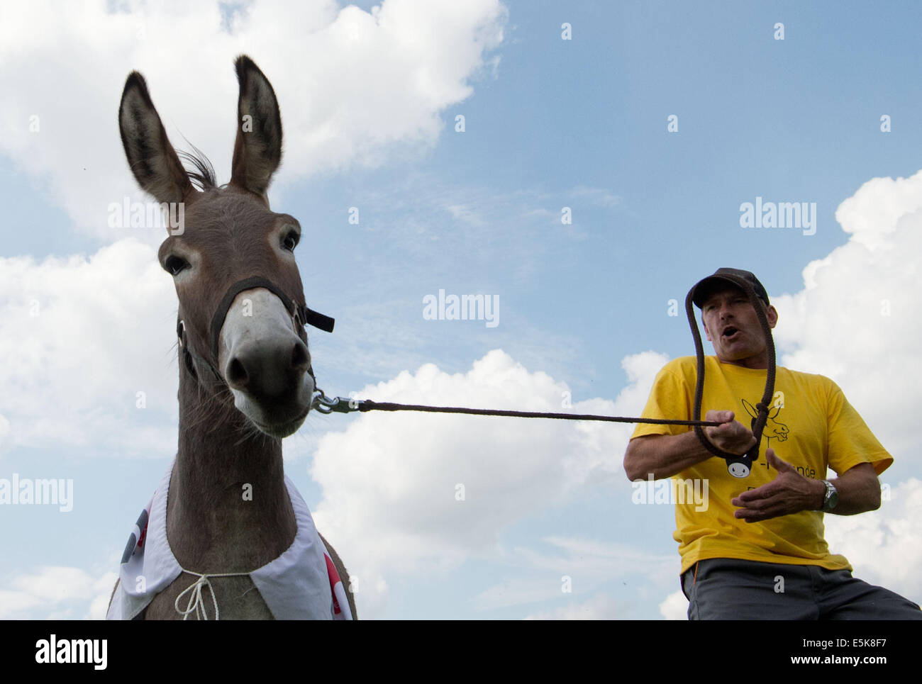 Hersbruck, Germany. 03rd Aug, 2014. A participant runs with his donkey ...