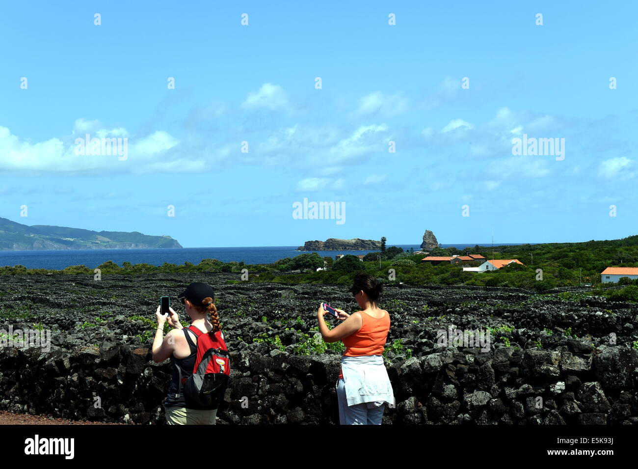 Lisbon. 3rd Aug, 2014. Tourists visit a vineyard in Pico Island ...