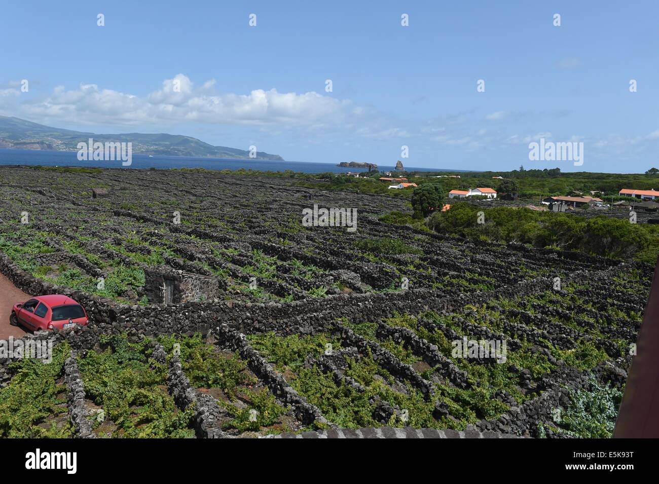 Lisbon. 21st July, 2014. The photo taken on July 21, 2014 shows the ...