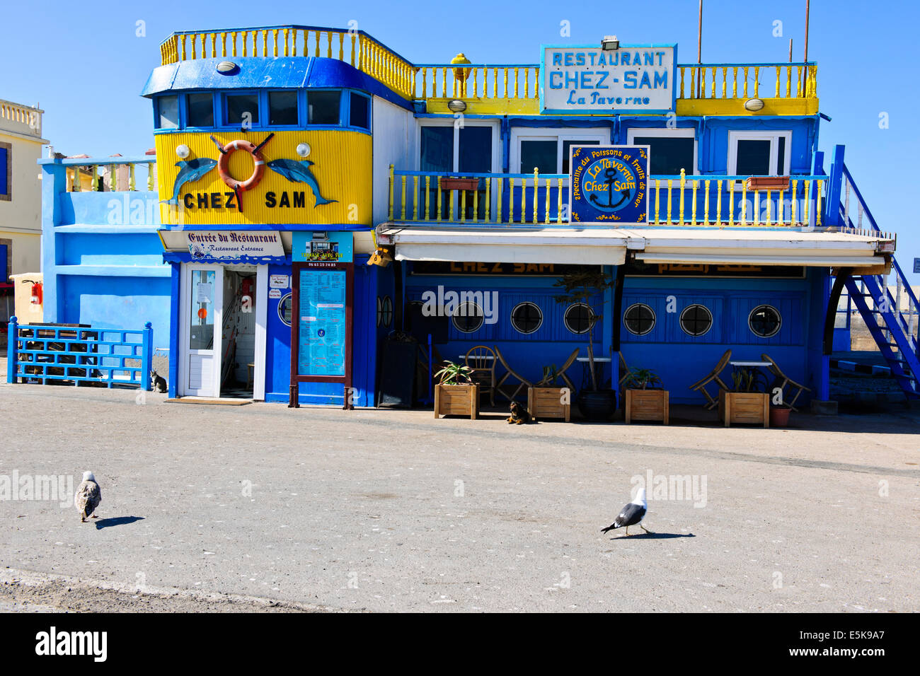 Very Busy Fishing Port,Atlantic Coast,some 250 Species,Fish Caught ...