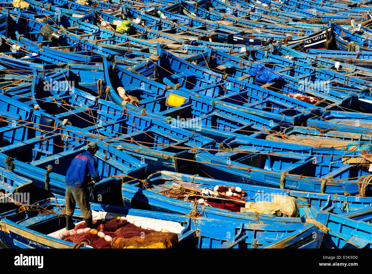 Very Busy Fishing Port,Atlantic Coast,some 250 Species,Fish Caught ...