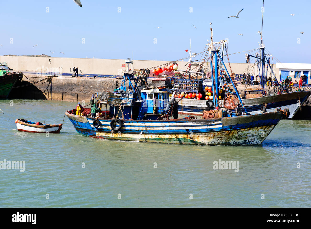 Very Busy Fishing Port,Atlantic Coast,some 250 Species,Fish Caught ...