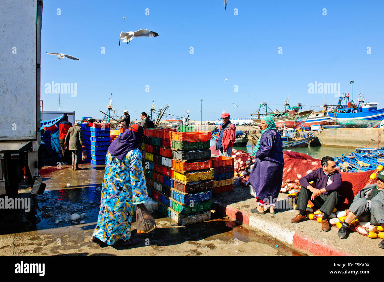 Very Busy Fishing Port,Atlantic Coast,some 250 Species,Fish Caught ...