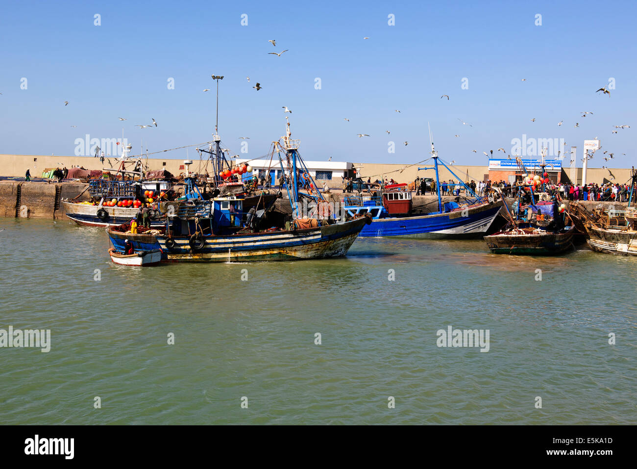 Very Busy Fishing Port,Atlantic Coast,some 250 Species,Fish Caught ...