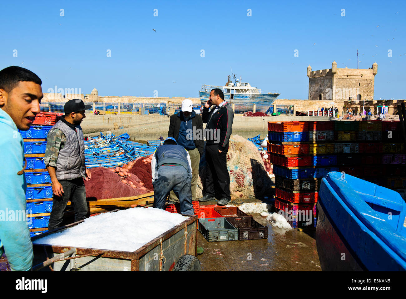 Very Busy Fishing Port,Atlantic Coast,some 250 Species,Fish Caught ...