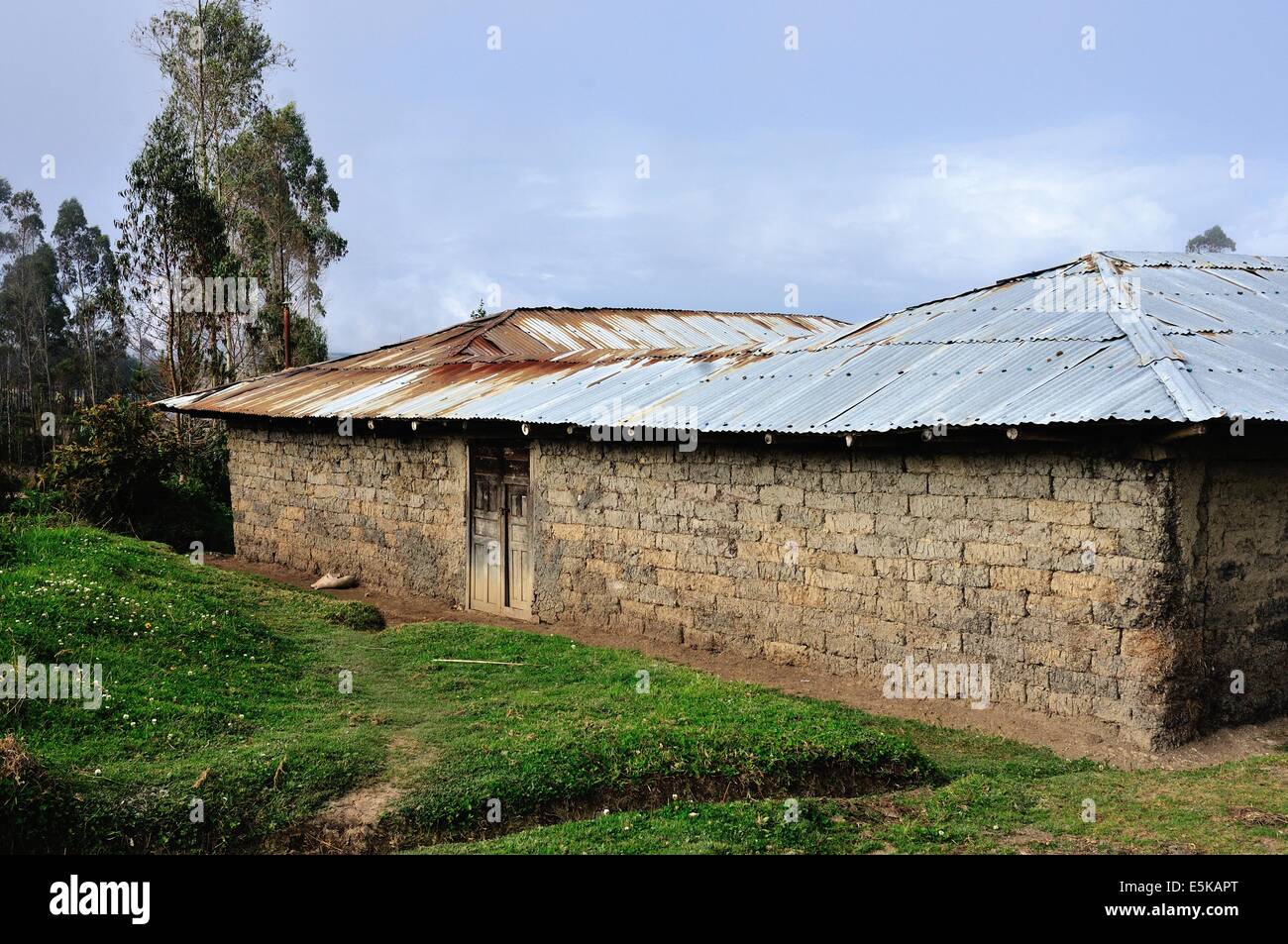 Traditional house in Cruzpata - CHACHAPOYAS . Department of Amazonas ...