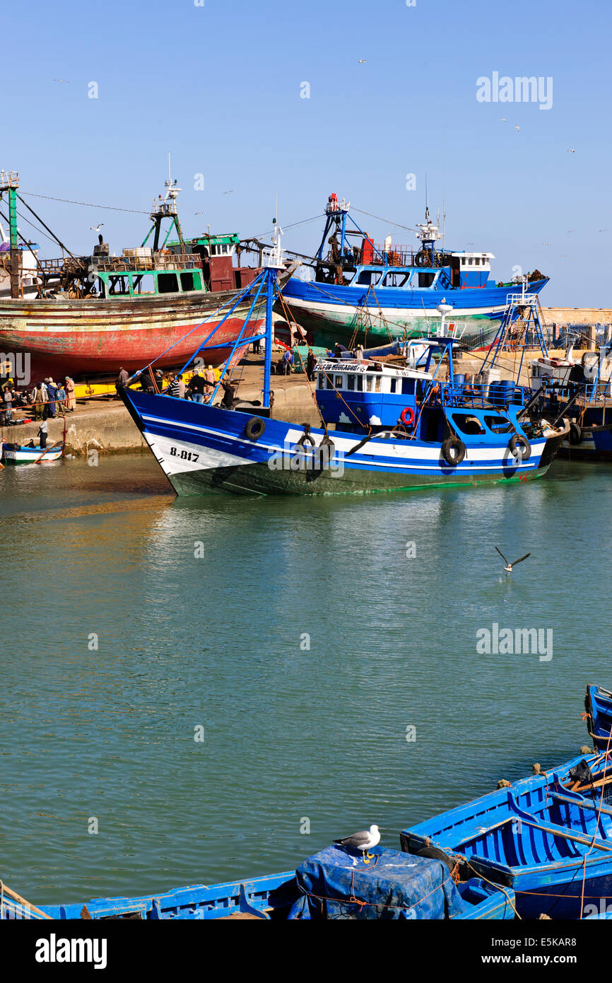 Very Busy Fishing Port,Atlantic Coast,some 250 Species,Fish Caught ...