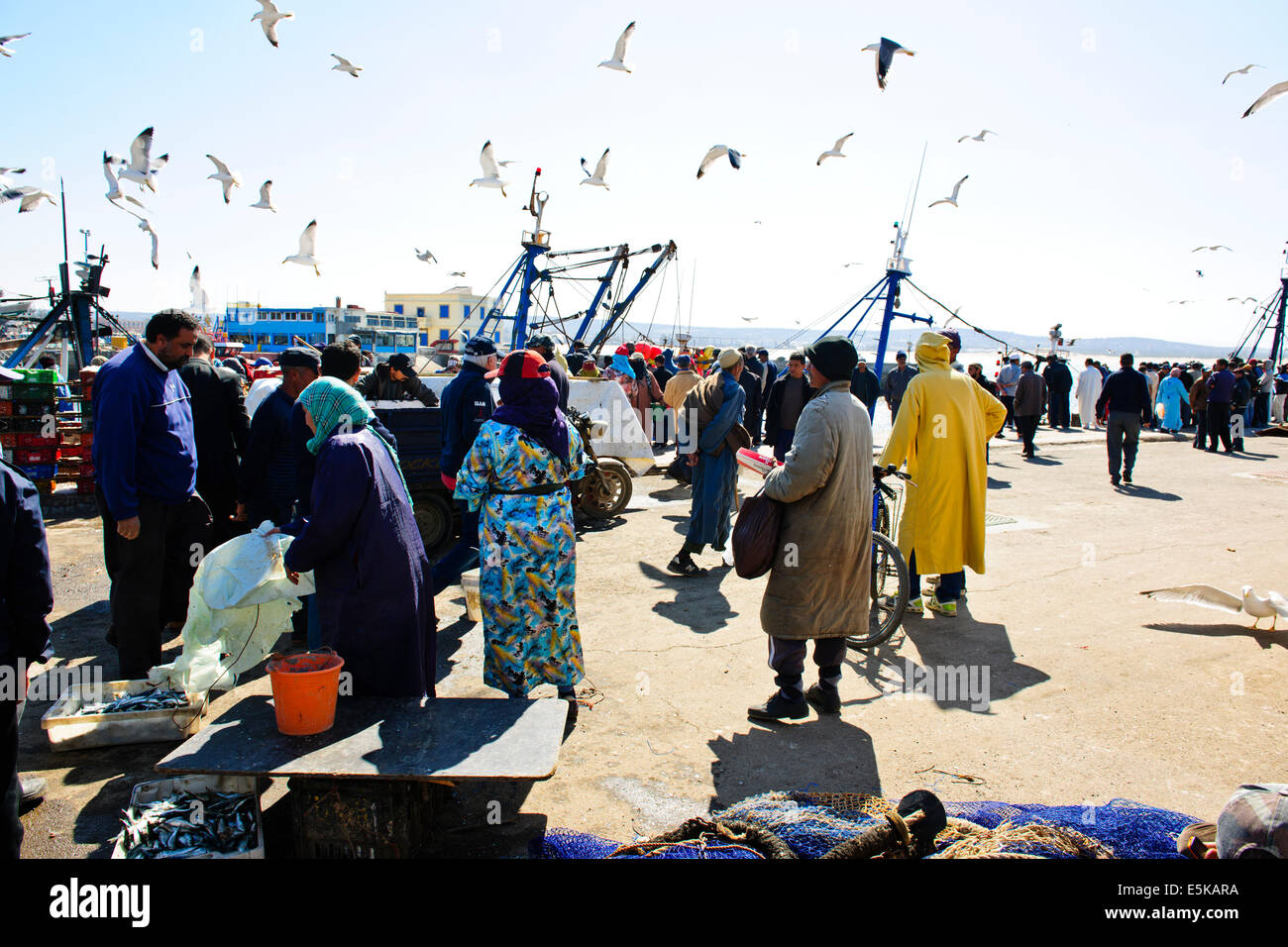 Very Busy Fishing Port,Atlantic Coast,some 250 Species,Fish Caught ...