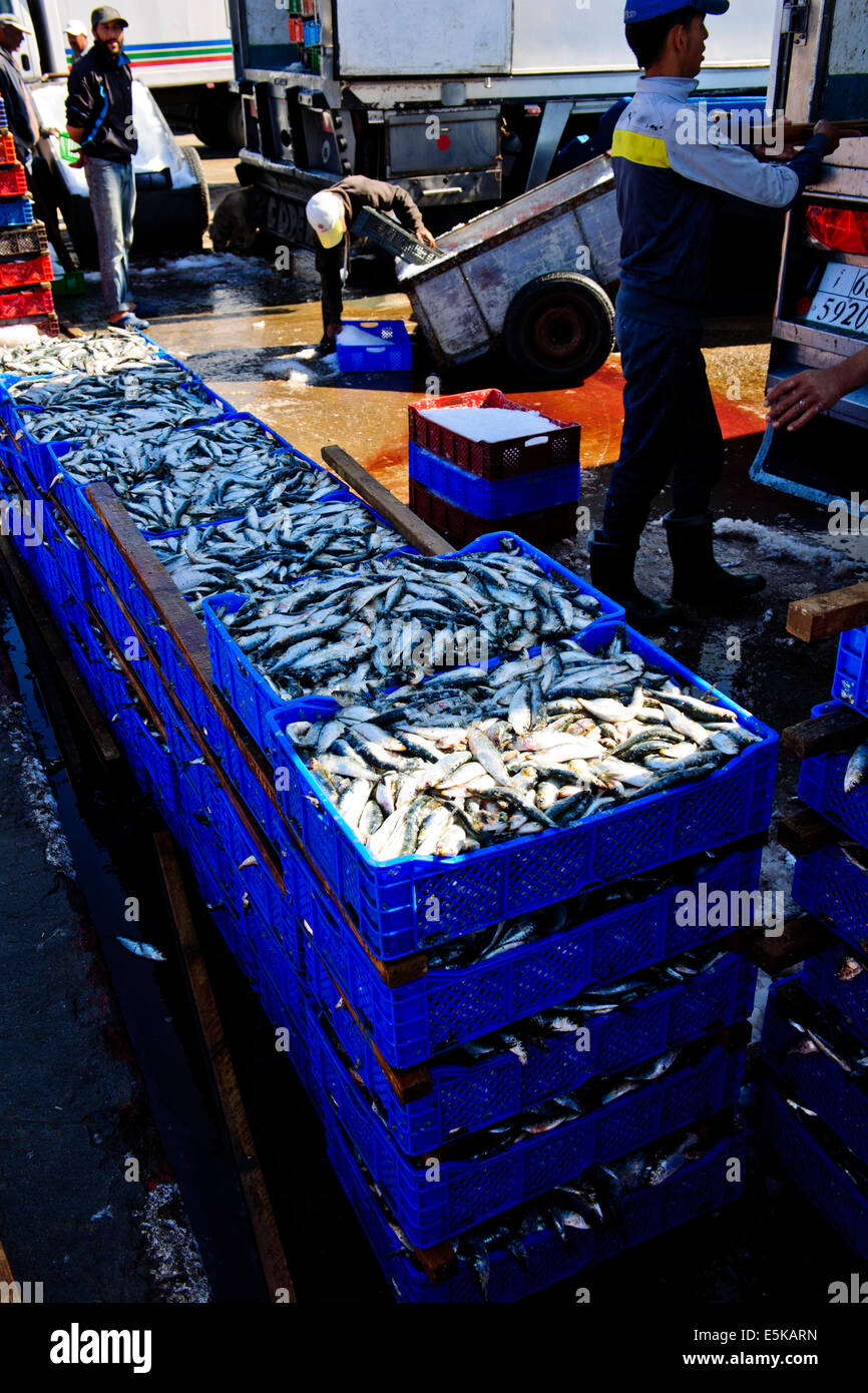 Very Busy Fishing Port,Atlantic Coast,some 250 Species,Fish Caught ...