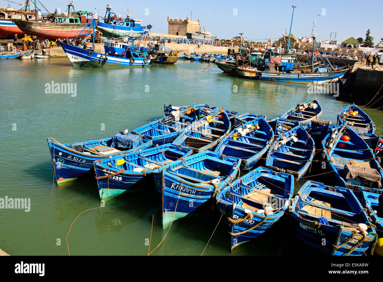 Very Busy Fishing Port,Atlantic Coast,some 250 Species,Fish Caught ...