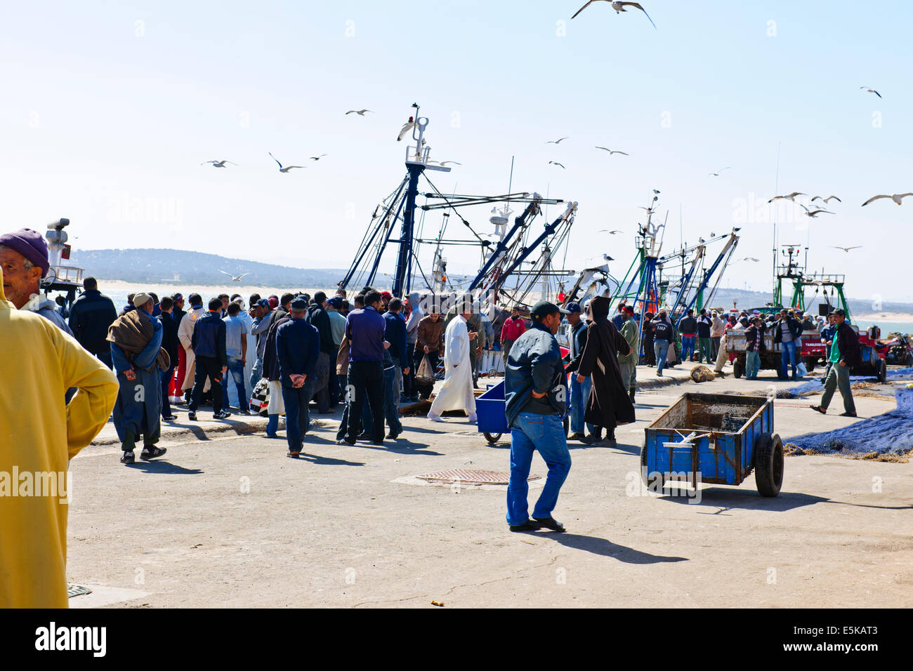Very Busy Fishing Port,Atlantic Coast,some 250 Species,Fish Caught ...