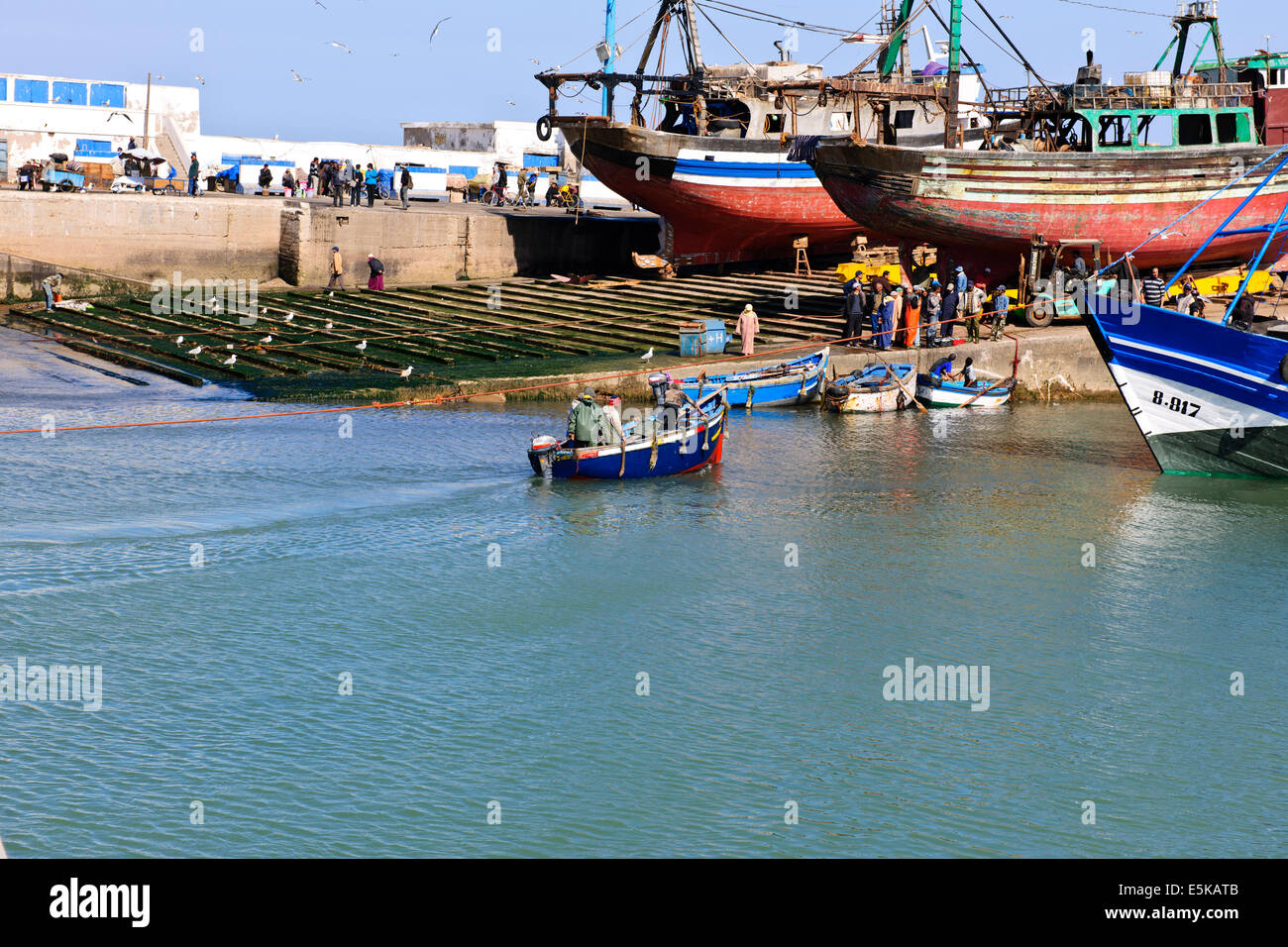 Very Busy Fishing Port,Atlantic Coast,some 250 Species,Fish Caught ...