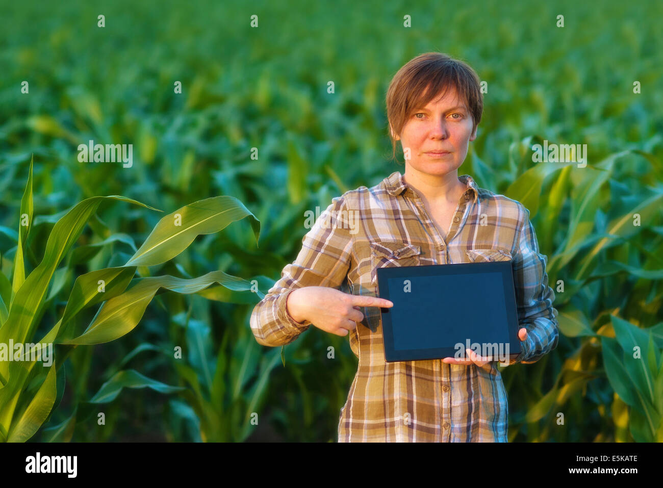 Soil classification hi-res stock photography and images - Alamy