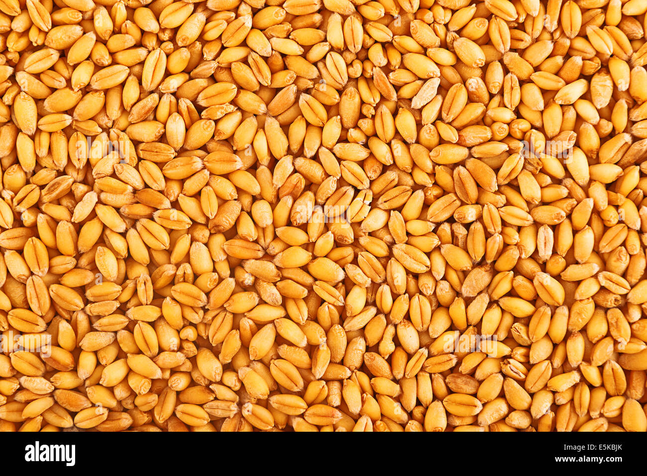 Processed grains hi-res stock photography and images - Alamy