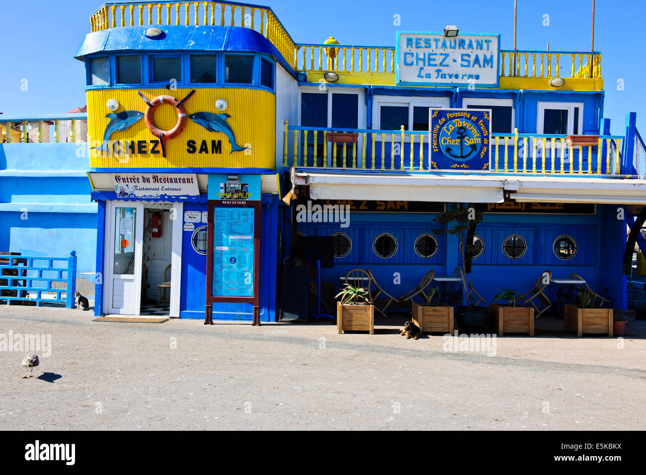 Very Busy Fishing Port,Atlantic Coast,some 250 Species,Fish Caught ...